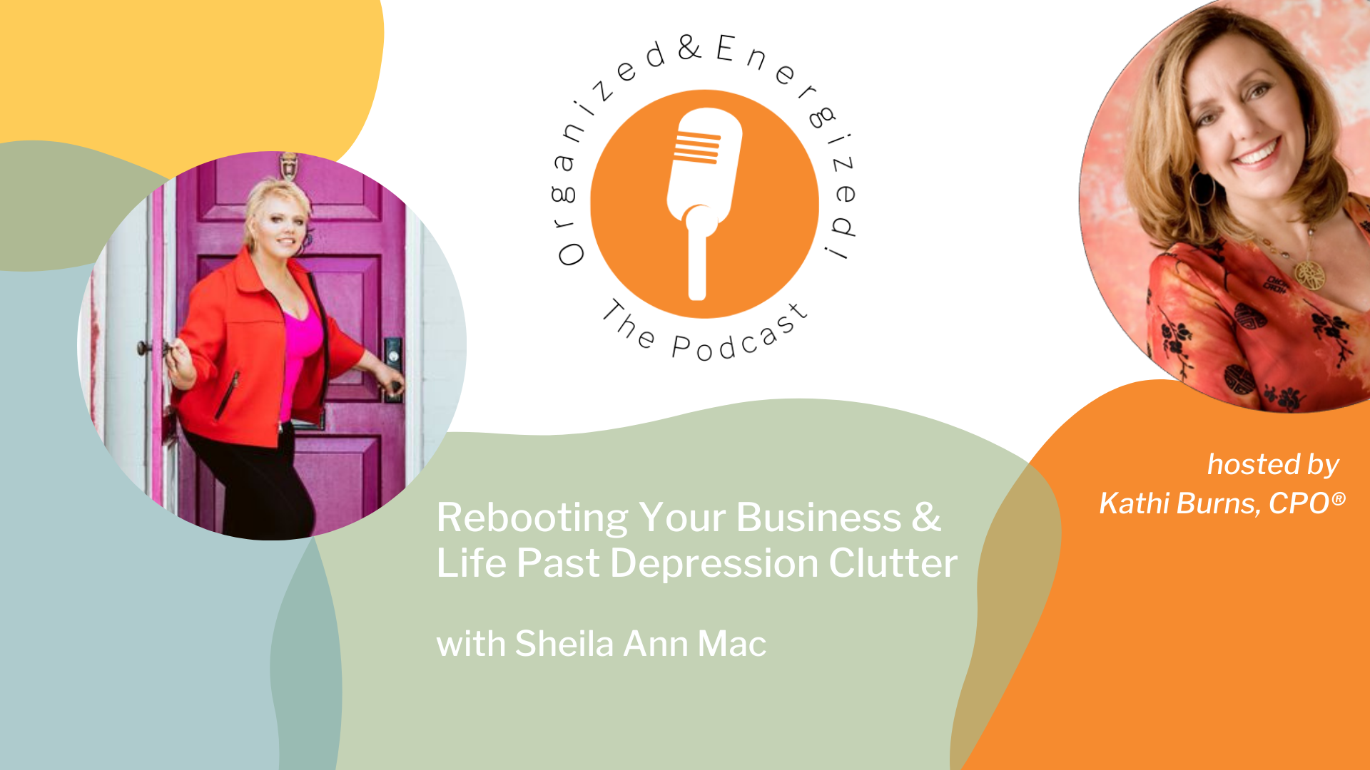 Rebooting Your Business & Life Past Depression Clutter with Sheila Ann ...