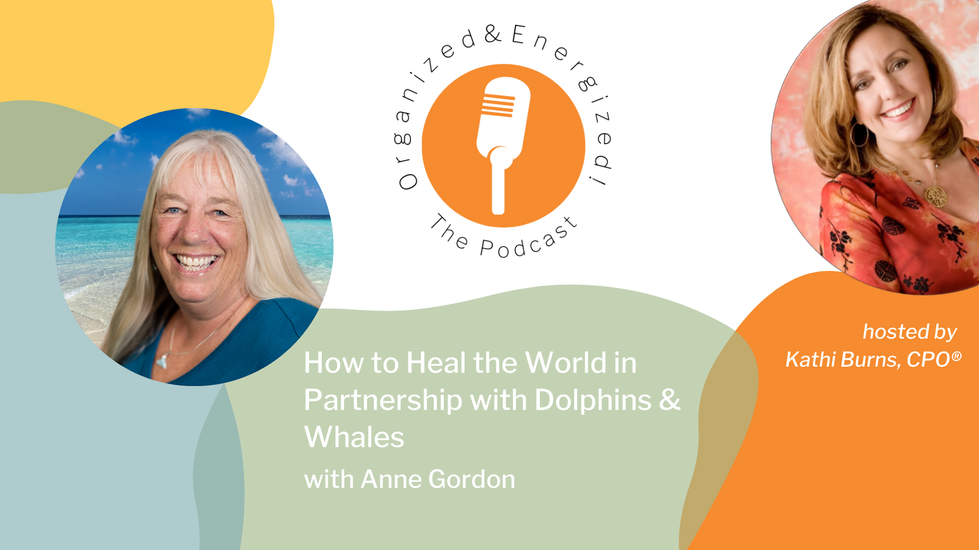 How to Heal the World in Partnership with Dolphins & Whales with Ann ...